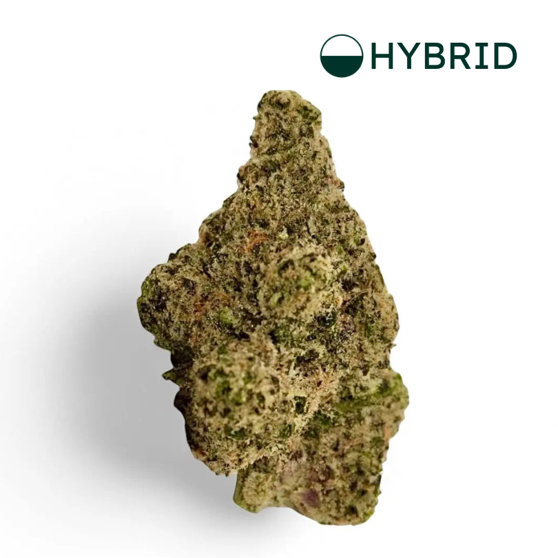 Alien Marker THCA Flower - Hybrid 38% – Good Organics